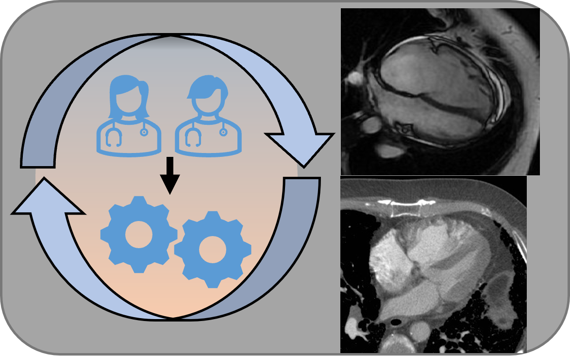Human-in-the-loop DL for cardiac CT/MRI | Haiping Lu